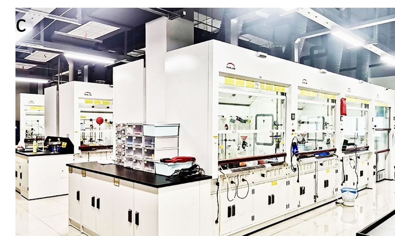 Targeted Covalent Inhibitor | WuXi RCS-Research Chemistry Services ...