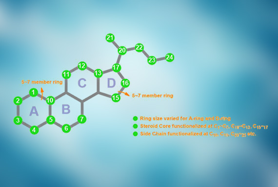 Steroid Chemistry | WuXi RCS-Research Chemistry Services，small molecule ...